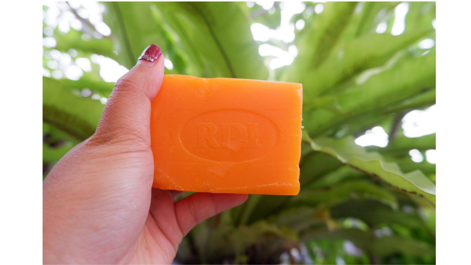 √ Review RDL Sabun Papaya: Pembersih Wajah Yang Melegenda